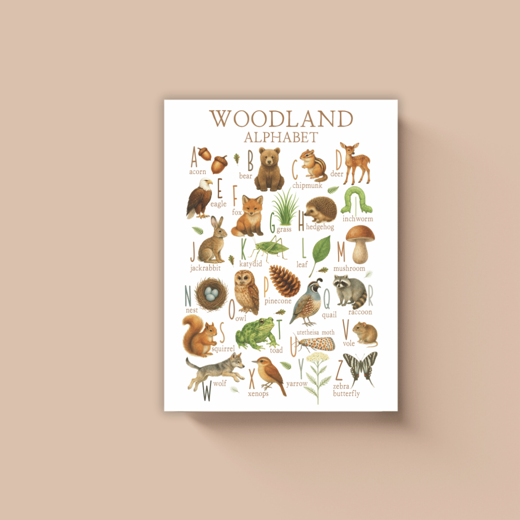 Woodland Early Learning Poster - Alphabet – Birchmark Designs