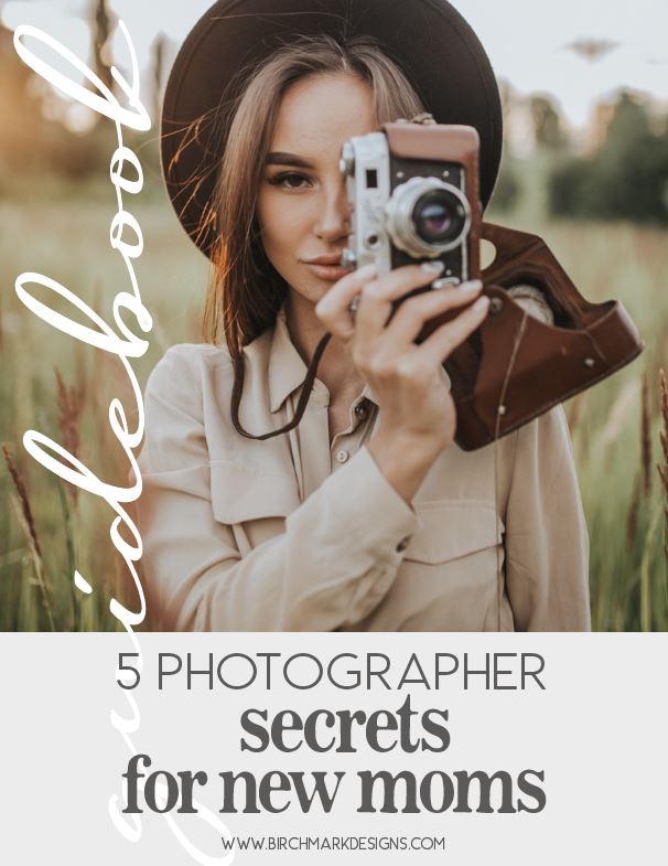 Pro-Secrets Photography Guide - Birchmark Designs