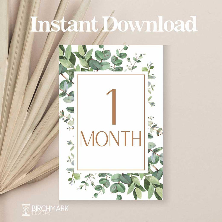 Printable Milestone Cards – Birchmark Designs