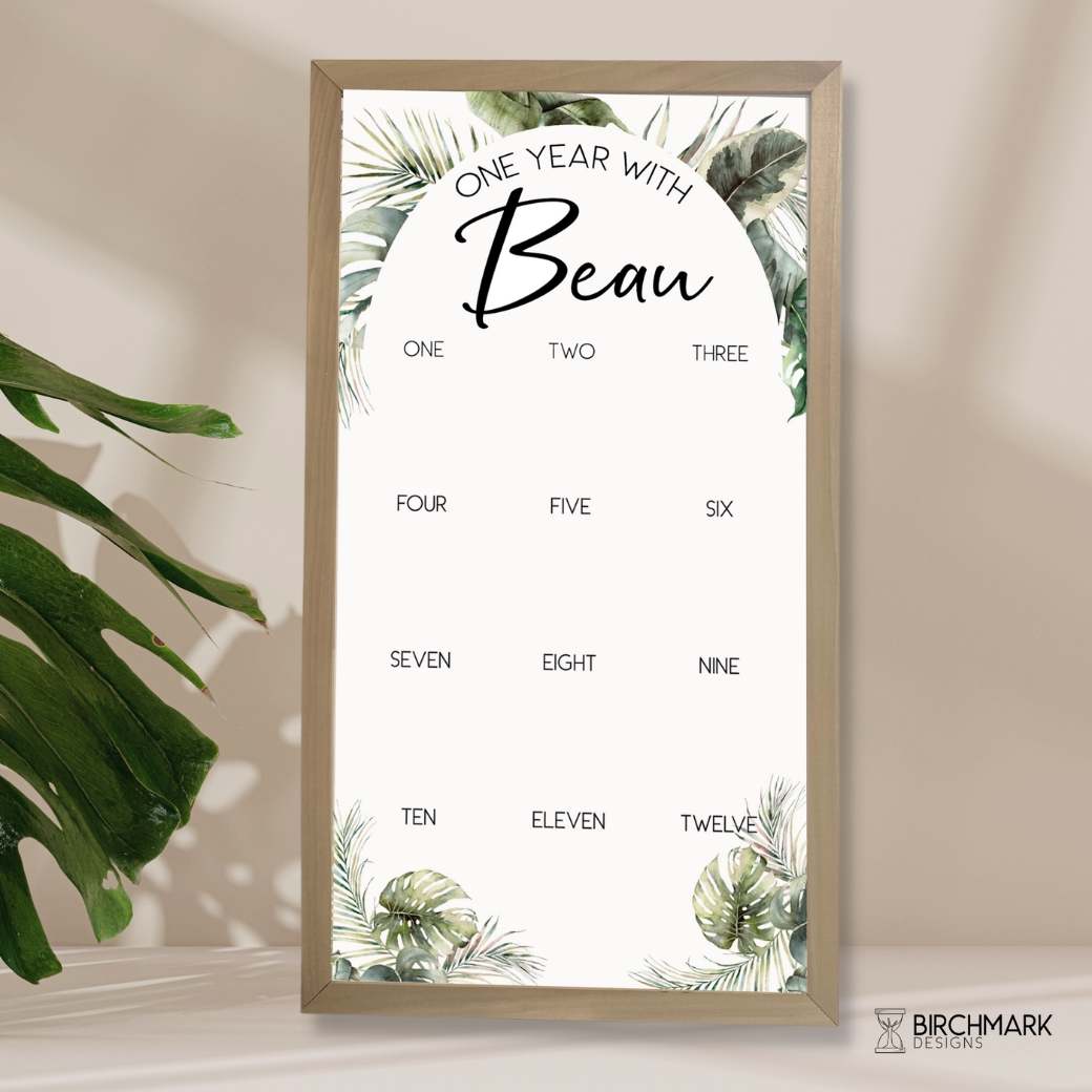 One Year Milestone Photo Display - Birchmark Designs